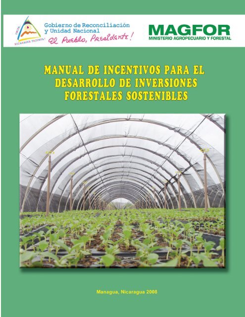 manual de acceso a los incentivos - magfor