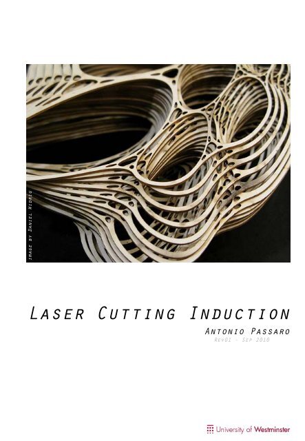 Laser Cutting Induction