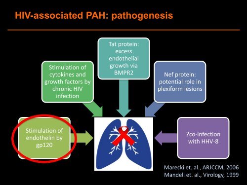 HIV-associated PAH: patho
