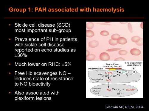 Group 1: PAH associated w