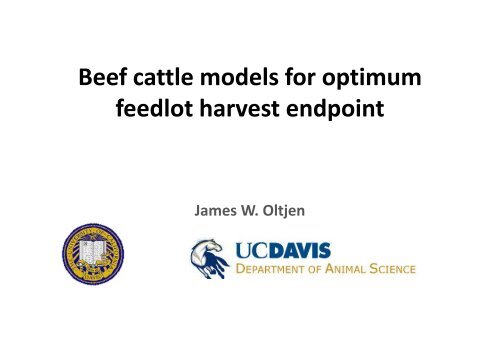 Beef cattle models for optimum feedlot harvest endpoint