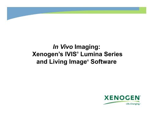 IVIS Lumina Tutorial.PPT
