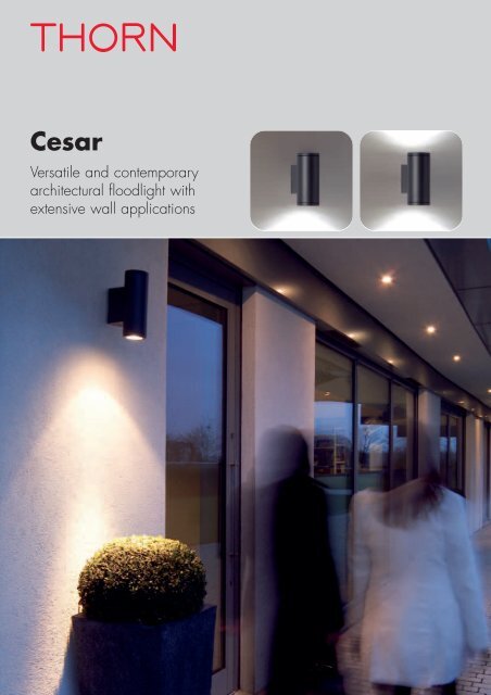 Versatile and contemporary architectural floodlight ... - Thorn Lighting