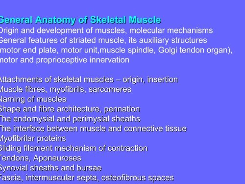 How to study skeletal mus