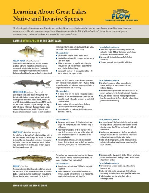 Learning About Great Lakes Native and Invasive Species