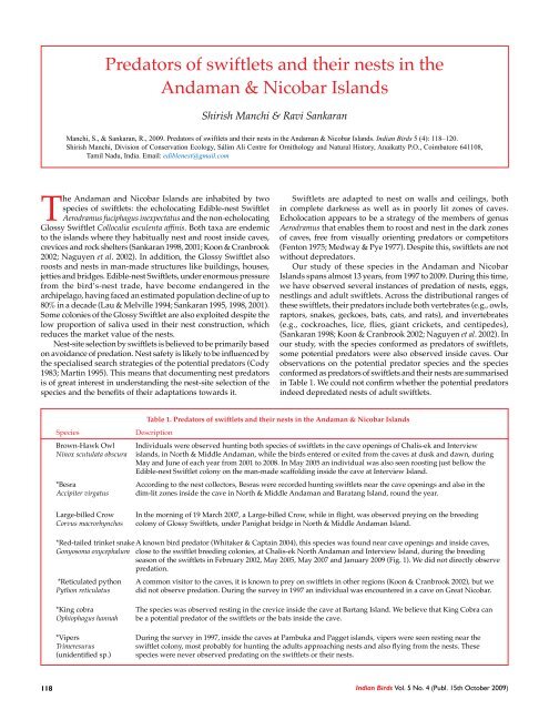 Predators of swiftlets and their nests in the Andaman ... - Indian Birds