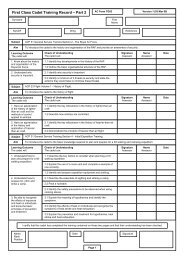 Squadron Health and Safety inspection checklist