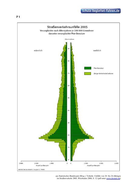Unfallpyramide 2005 - pdf - Schule begleitet Fahren