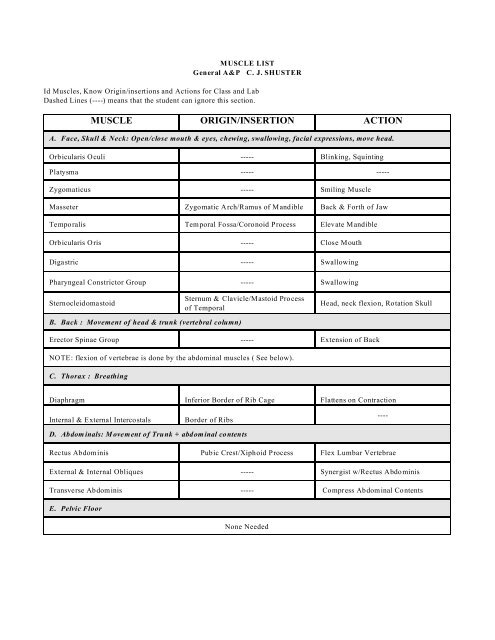Quadriceps Muscle Origin Insertionaction Exercise