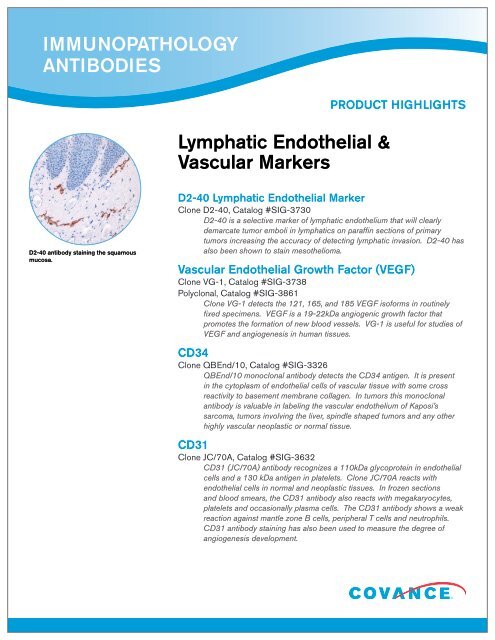 Fact Sheet: Lymphatic Endothelial and Vascular Markers - Covance