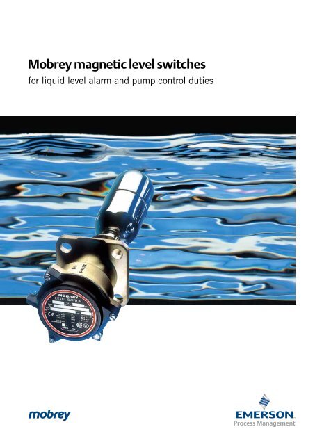Mobrey magnetic level switches