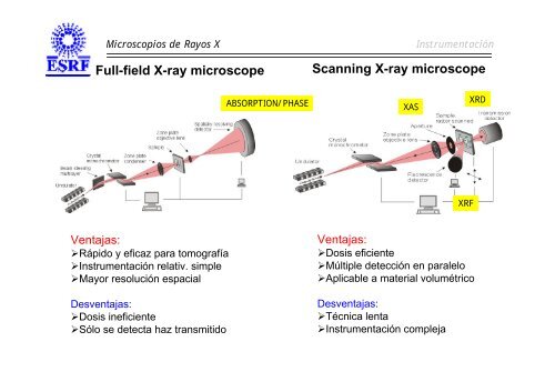 Microscopios de