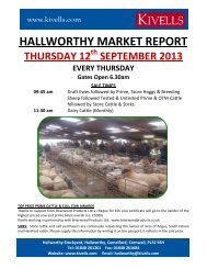 EXETER LIVESTOCK CENTRE MARKET REPORT - Kivells