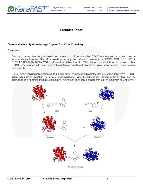 Chemoselective Ligation via Copper-free Click Chemistry - KeraFAST
