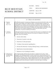 BLUE MOUNTAIN SCHOOL DISTRICT
