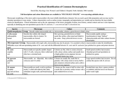 Practical Identification of Common Dermatophytes - Mycology Online