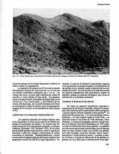 PLANTASTovomita nicarague