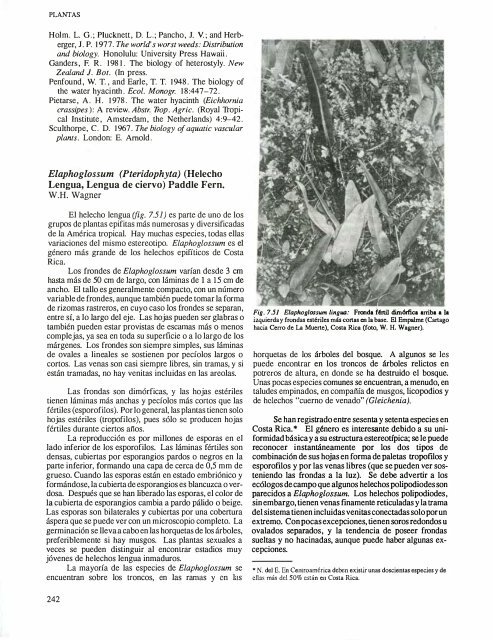 USTA DE ESPECIESpara comp