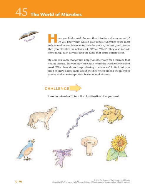 The World of Microbes