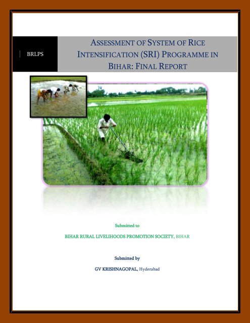 Assessment of SRI in Bihar - Bihar Rural Livelihood Promotion Society