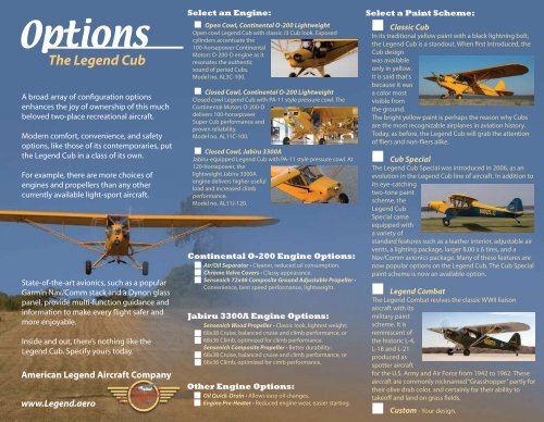 Options - American Legend Aircraft Company - The Legend Cub