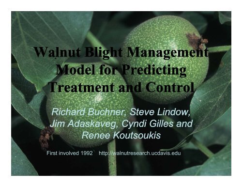 Walnut Blight Management g g Model for Predicting g g Model for ...