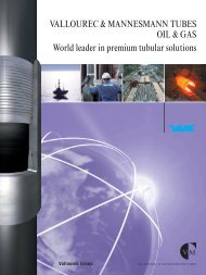 VAM Technical Notes Compatibility between VAM ... - VAM Services