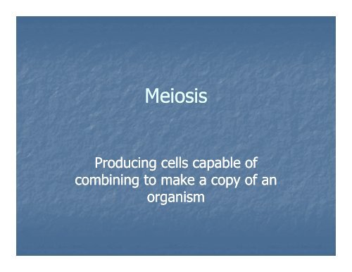 Meiosis Powerpoint High School