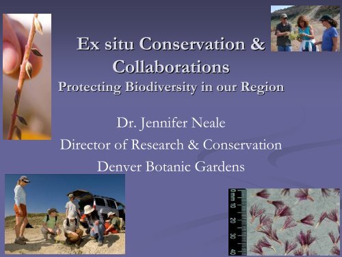 PRESENTATION_Ex situ Conservation and ...