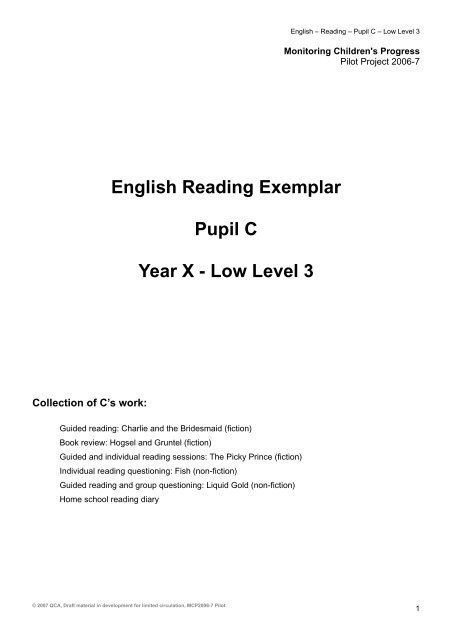 English Reading Exemplar Pupil C Year X - Low Level 3 (Adobe ...