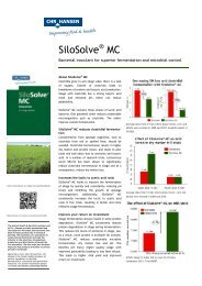 SiloSolve® AS product sheet - Chr. Hansen
