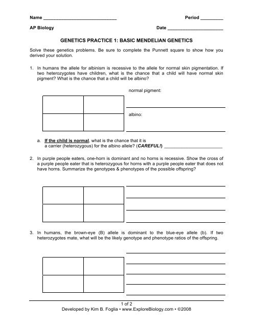 GENETICS PRACTICE 1: BASIC MENDELIAN ... - Explore Biology