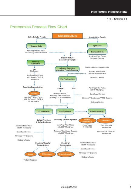 Proteomics Process Flow Chart