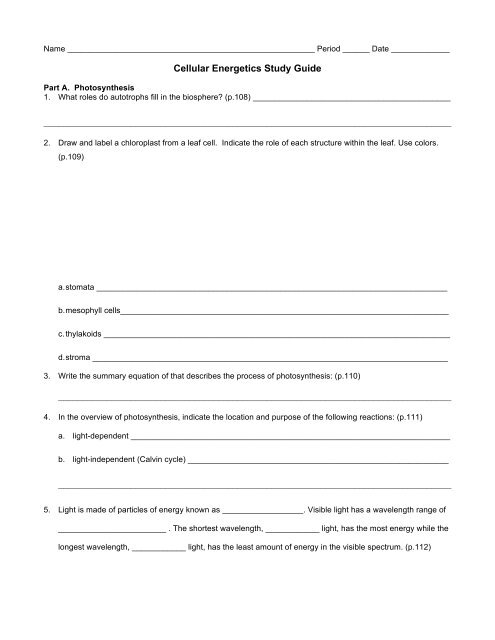 Cell Energetics Study Guide Graphic Deals | varsana.com