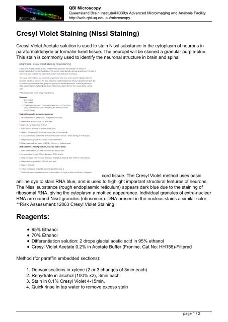 Cresyl Violet Staining (Nissl Staining)