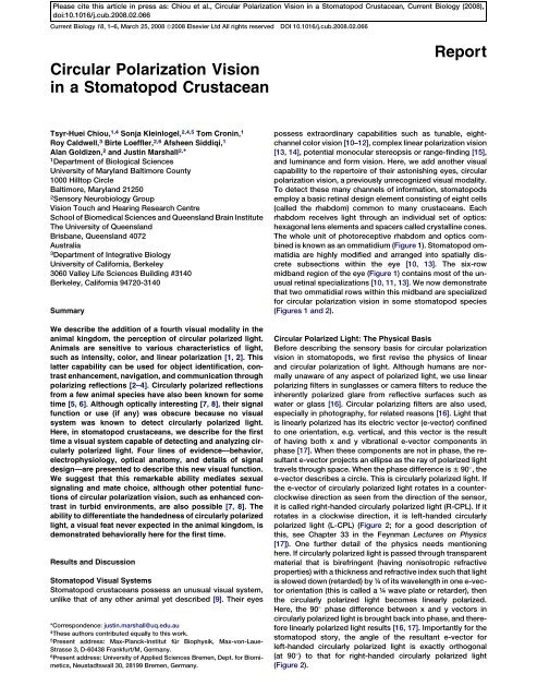 Report Circular Polarization Vision in a Stomatopod Crustacean