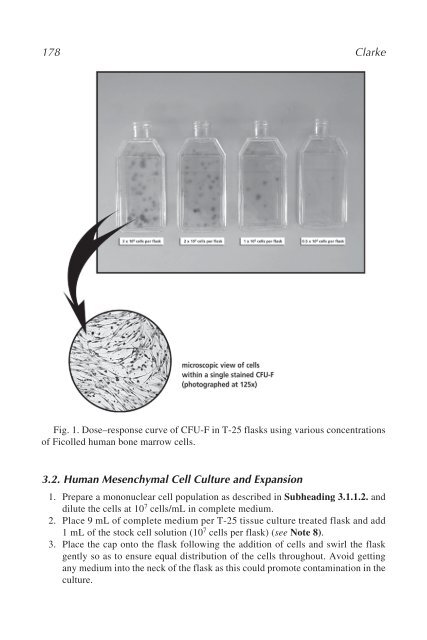 Human and Mouse CFU-F