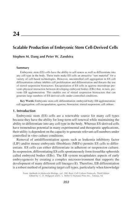 Scalable ES Cell