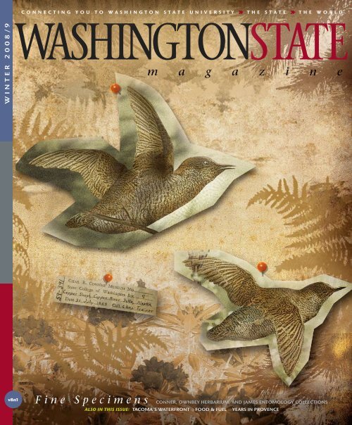 Fine Specimens - Washington State Magazine