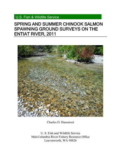 Spring and summer Chinook salmon spawning ground surveys on ...