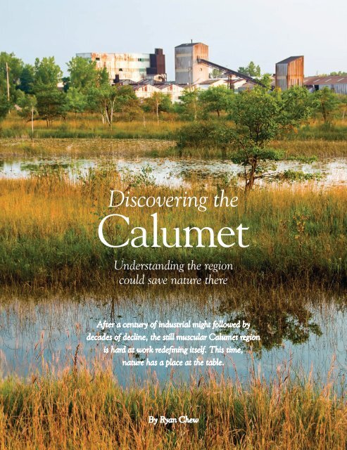 Discovering the Calumet - Chicago Wilderness