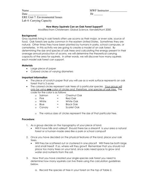 Lab 4-Carrying Capacity - Amazon S3