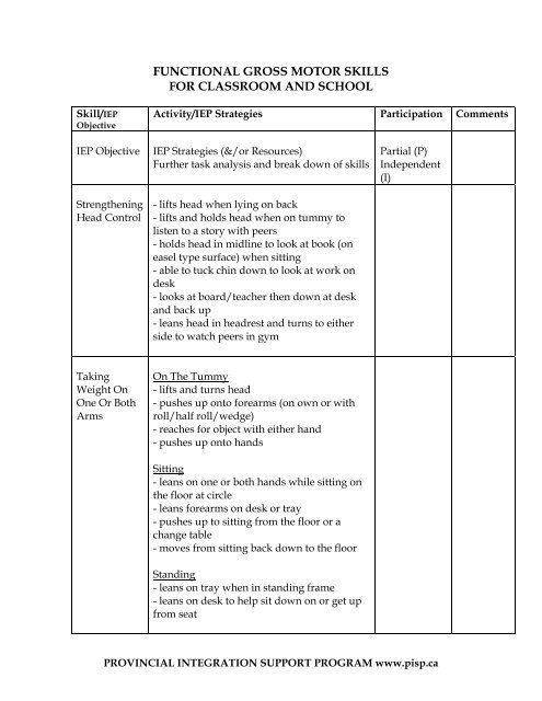 functional gross motor skills - Provincial Integration Support Program