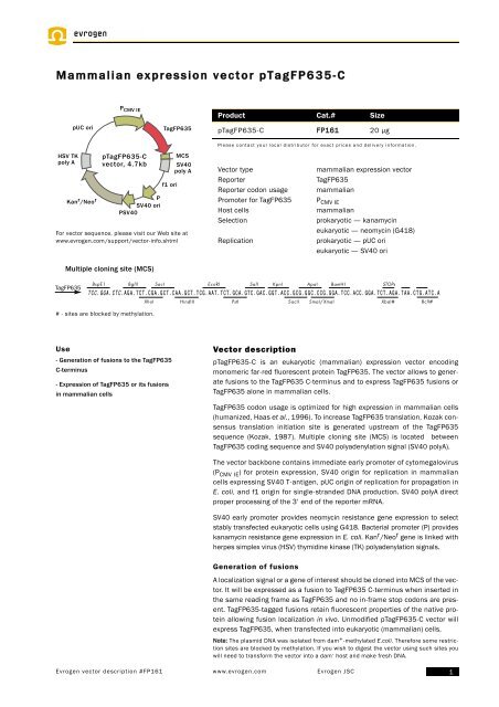 Mammalian expression vector pTagFP635 C - Evrogen