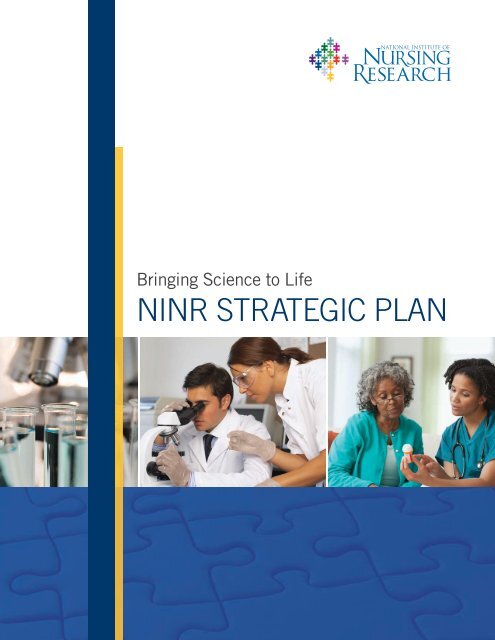 NINR Strategic Plan - National Institute of Nursing Research ...