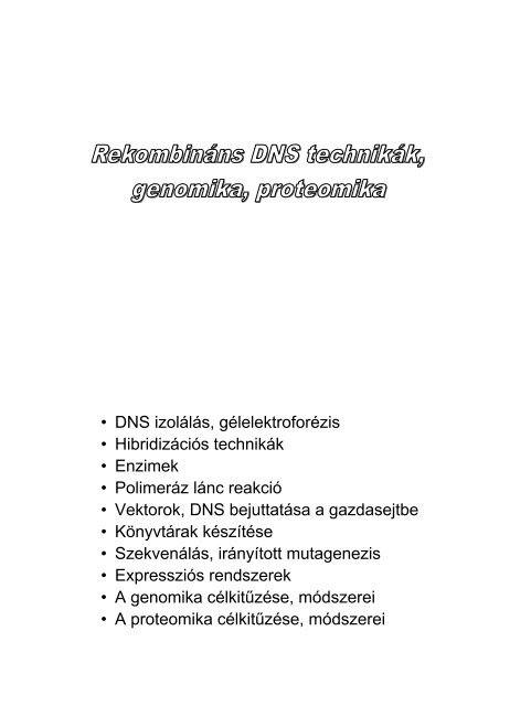 dns chip technológia