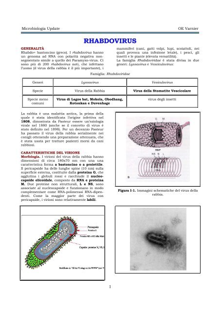 Rabbia Virus della - Sezione di Microbiologia