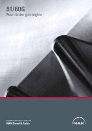 51/60DF - MAN Bluefire