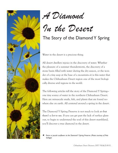 Diamond in the Desert 2007 - Chihuahuan Desert Nature Center