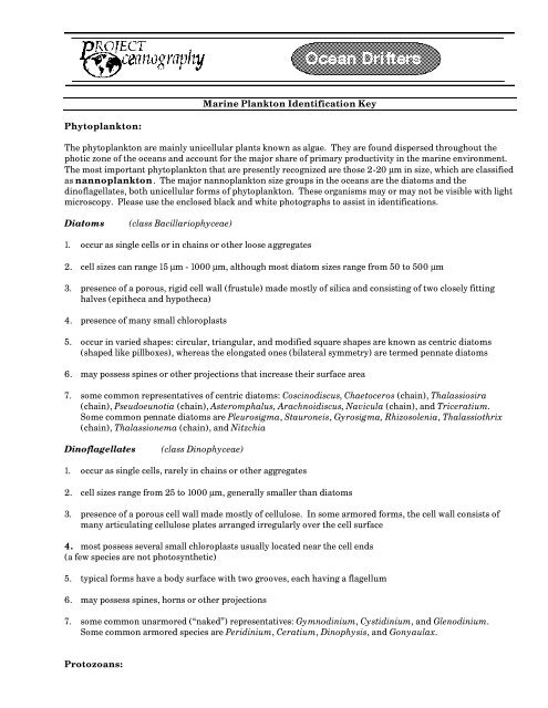 Marine Plankton Identification Key Phytoplankton: The ...